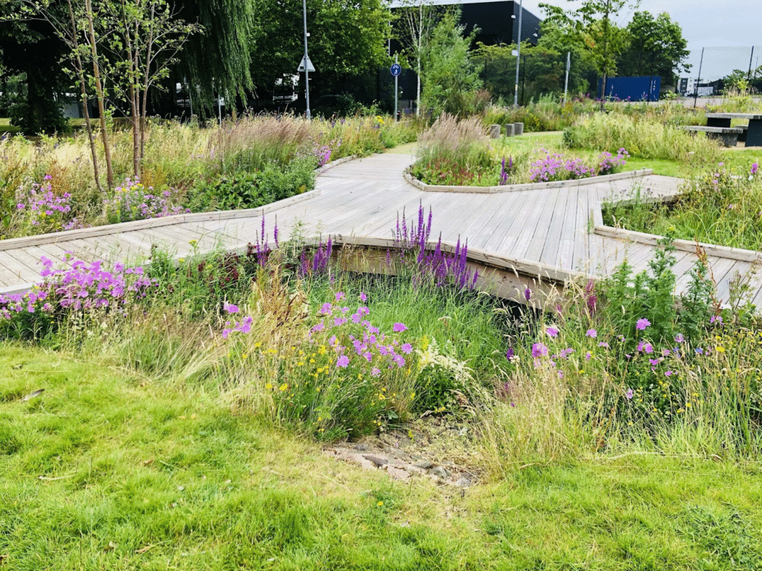“Sponge Park” in West Gorton: How Environmental Engineering Helps ...